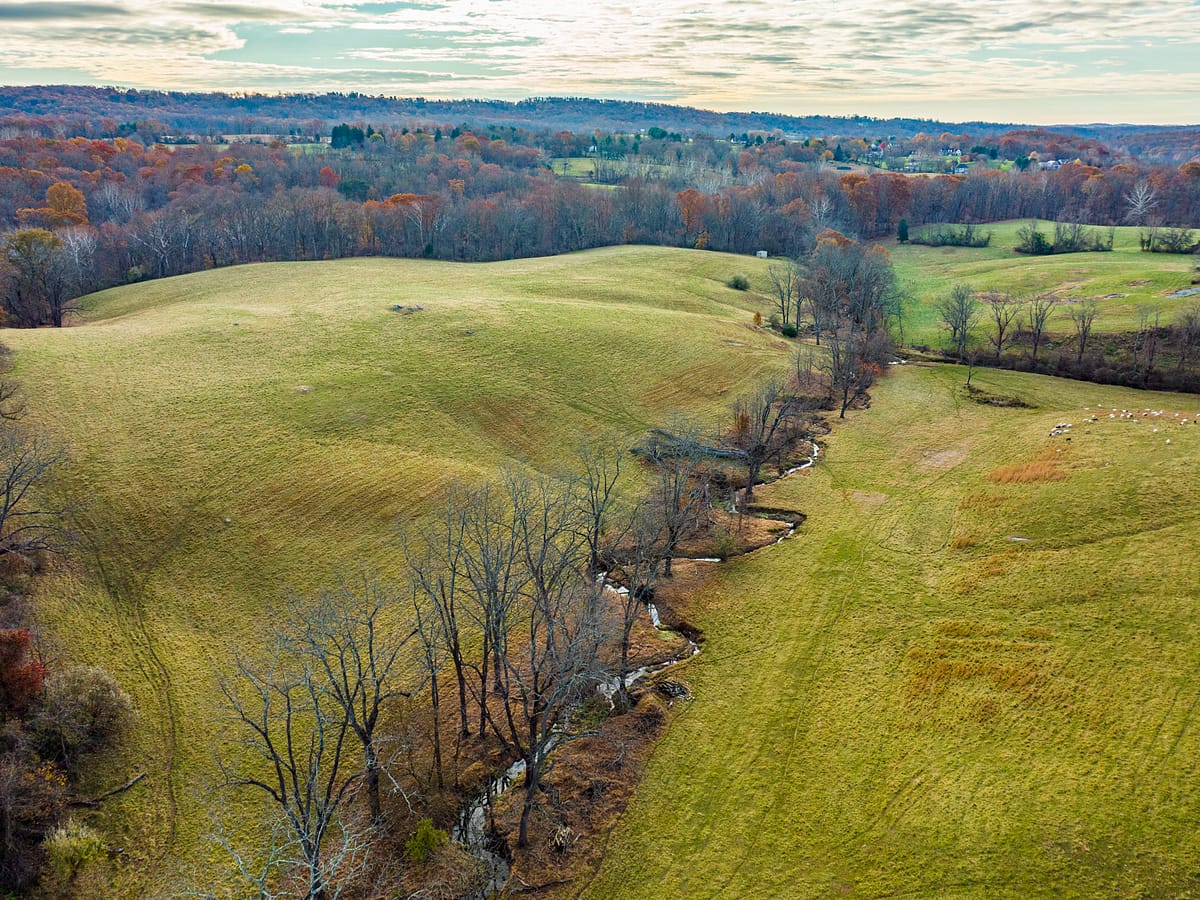 Virginia Grassland Bird Initiative - The Piedmont Environmental Council