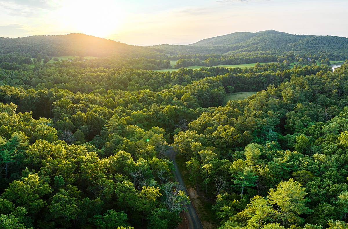 Albemarle Climate Action - The Piedmont Environmental Council